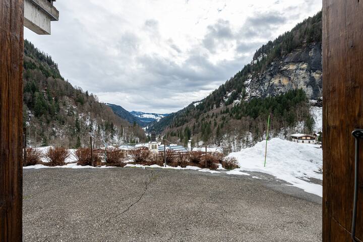 Bergeronnette - La Giettaz