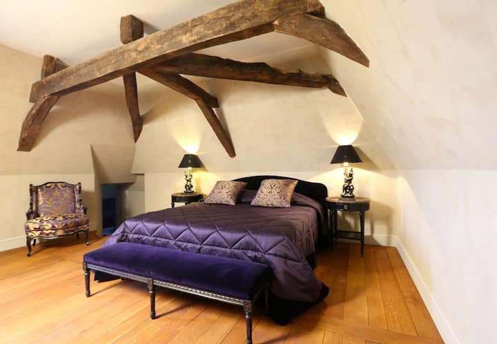 Suite Mondeuse - Château De La Mar - 50 M2 - Culoz
