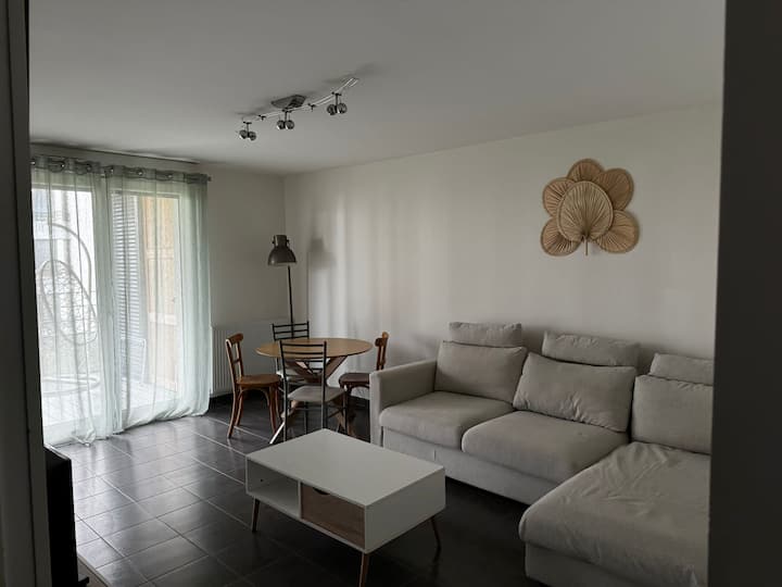 Le Piou Vert En Ville - Annecy