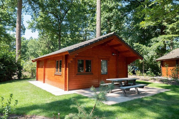 Boekhorst 4 | Europarcs De Utrechtse Heuvelrug - Doorn