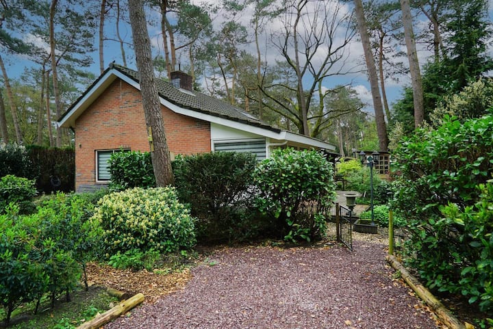 Boshuis 6 | Europarcs Beekbergen - Apeldoorn