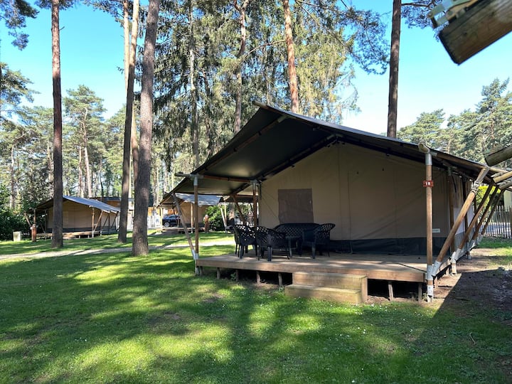 Bergerven Lodge 4 | Europarcs Hoge Kempen - Diepenbeek