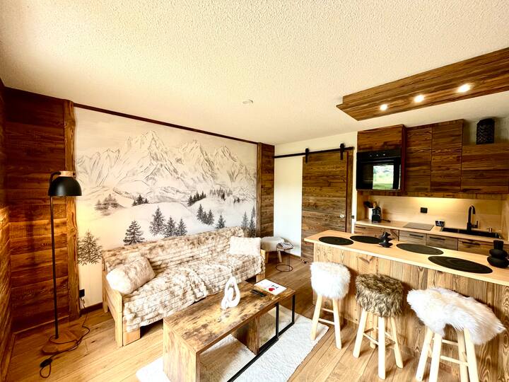 Studio Cosy Avec Vue Sur Mont Blanc - Combloux