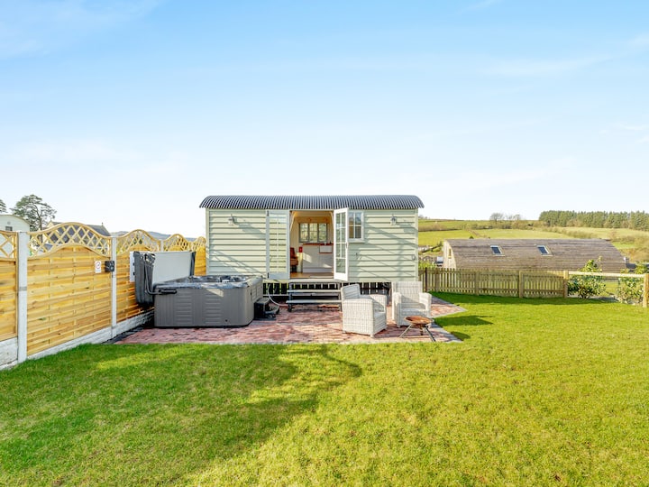 Sunflower - Uk42360 - Rhayader