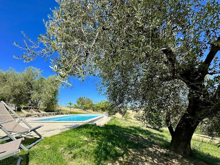 Historic House With Swimming Pool, Barbecue, Gym I - Senigallia