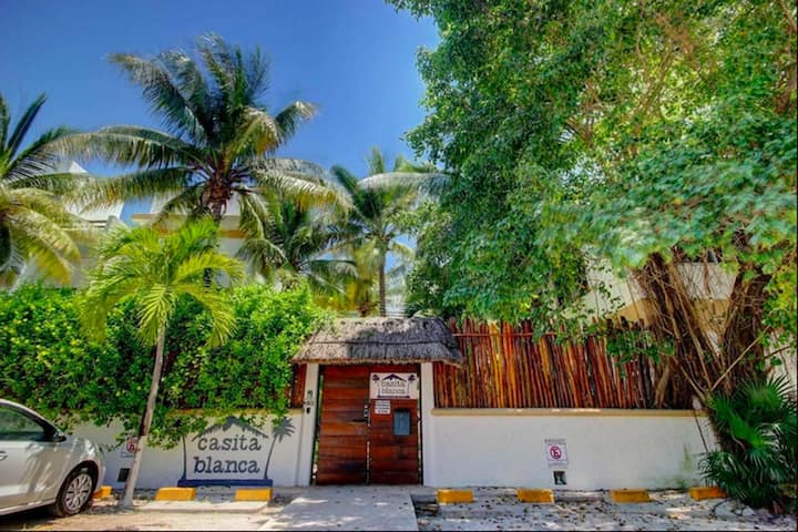 Little White House - Puerto Morelos