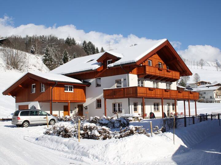 Appartement Calme Et Agréable Avec Terrasse - Saalfelden am Steinernen Meer