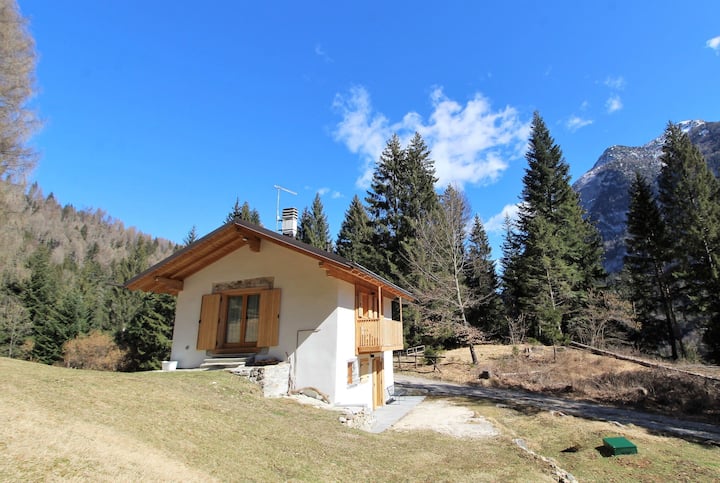 Baita La Ciamorza Dolomiti - Veneto - Forni di Sopra