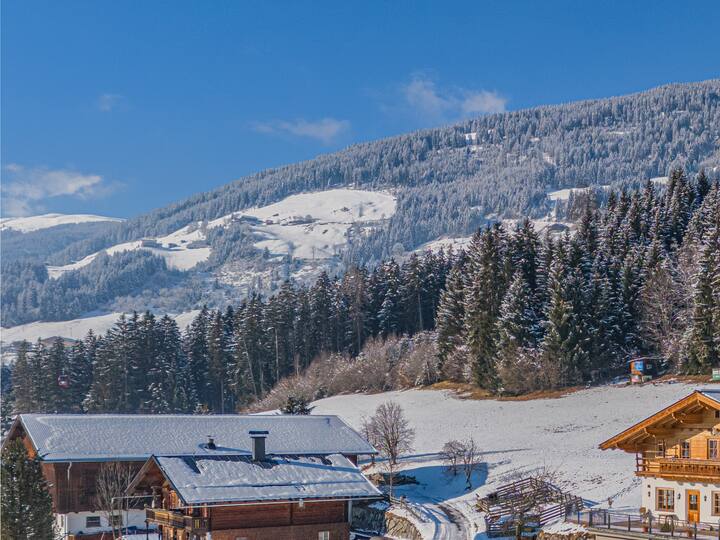 Appartement Avec Terrasse En Bois Et Sauna - Bramberg am Wildkogel