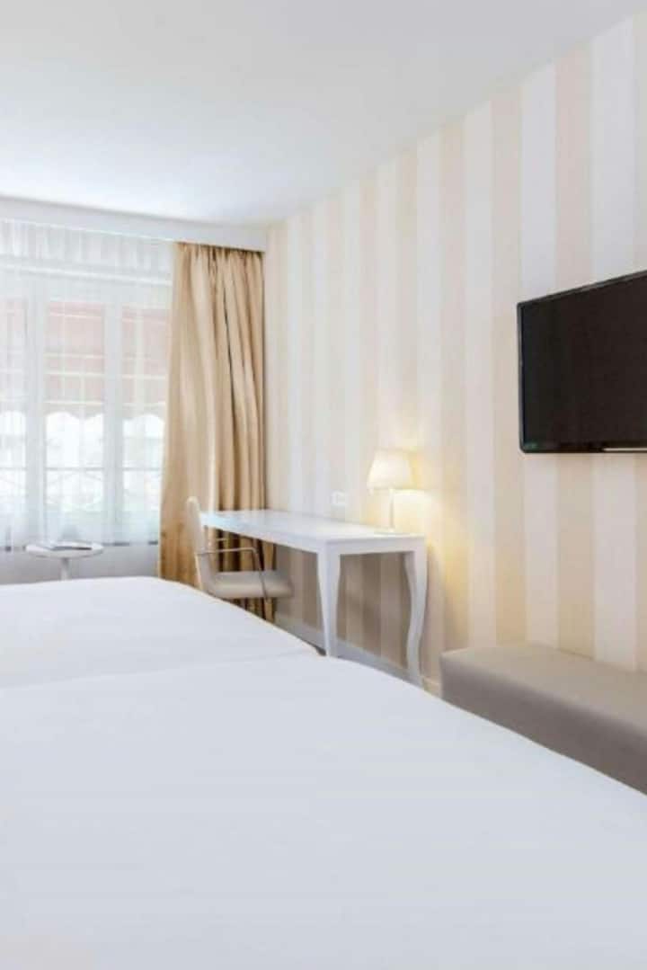 Garden Double Business Room- 4*geneva By Fassbind - Geneva