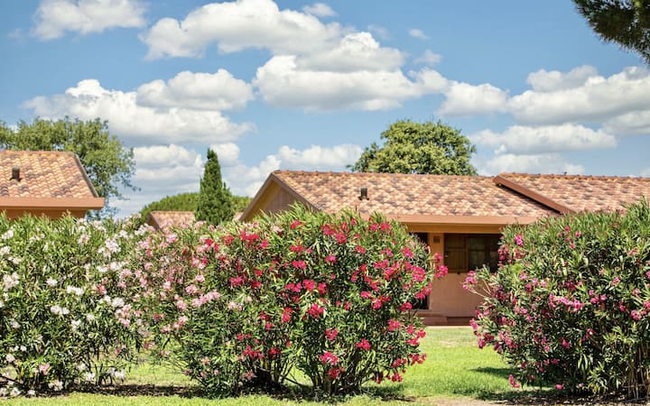 California Villino 2 Comfort - Montalto di Castro