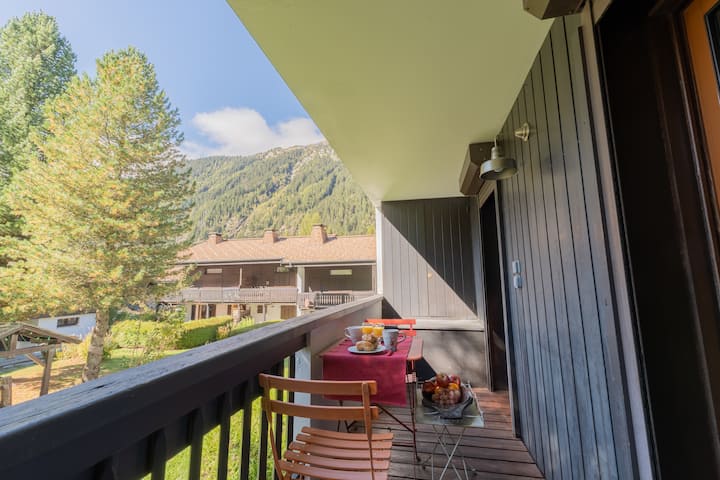 Cozy Flat With View Ski-in-chamonix Conciergerie - Argentière
