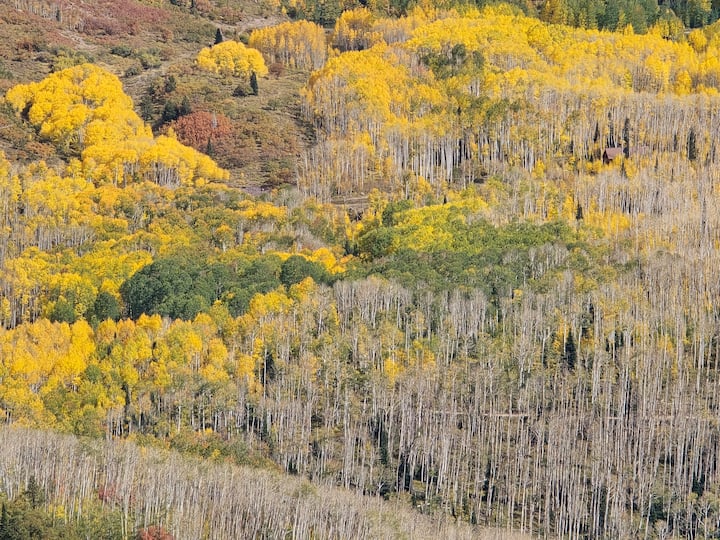 Log Sleeping Cabin East - Monticello, UT