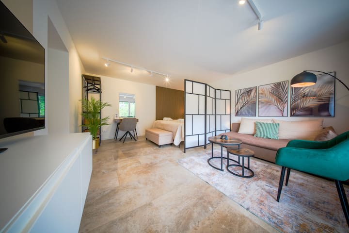 Kurpark Apartment Mit Schwimmbad - Bad Wildbad