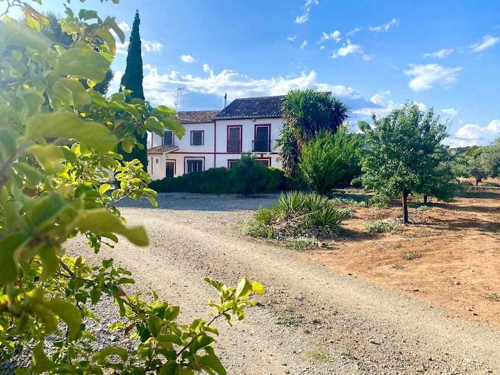 Las Maravillas De Manuel By Solymar Holiday - Antequera, España