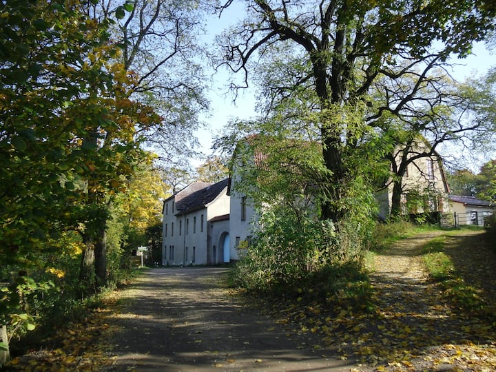 Fewo 1 (267193) - Strausberg