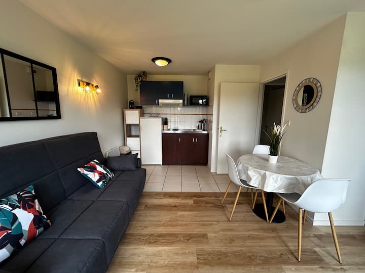 Appartement La Roche-posay, 2 Pièces, 2 Pers. - La Roche-Posay