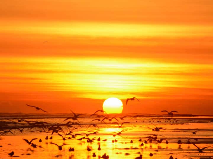 River View Cottage - Berwick-upon-Tweed