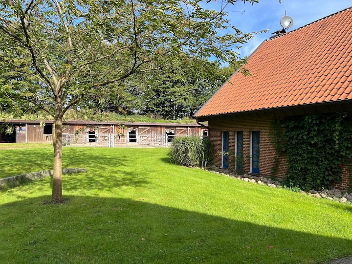 Ferien Auf Dem Islandpferdehof  Ferienhaus Gandur - Büdelsdorf
