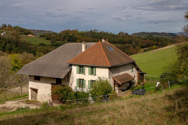 Le Palefroi De Merlas - Voiron