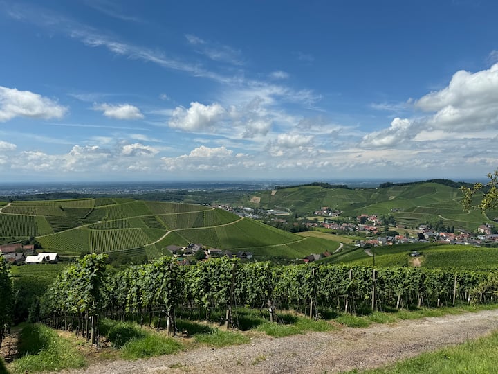 Staufenbergblick Durbach - Durbach