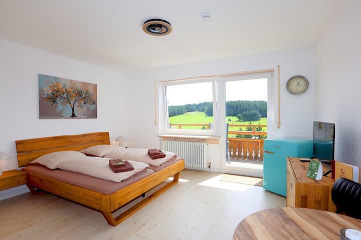 1 Room Apartment With Small Kitchen And Balcony - Triberg
