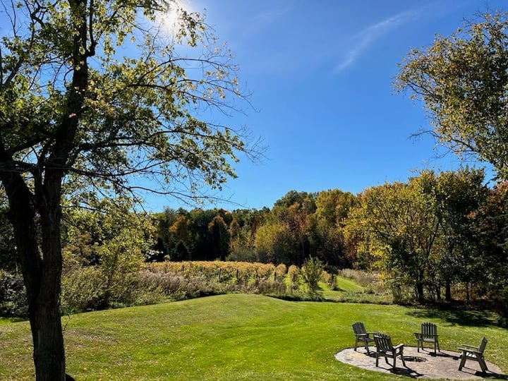 Vineyard View Near Winery - LedgeStone Vineyards, Greenleaf