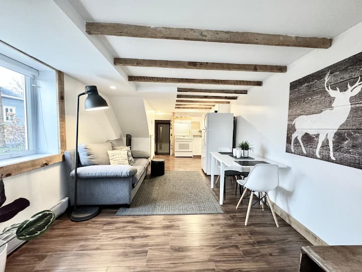 Loft The Montcalm \ 2 Min Falls \ Free Parking - Quebec, Canadá