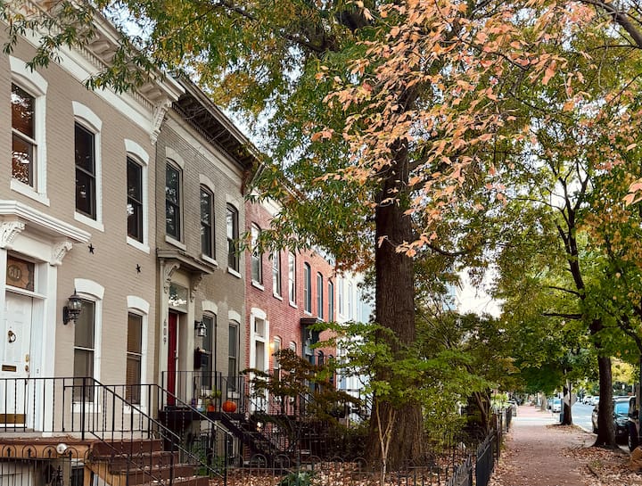 English Basement – Capitol Hill – Free Parking - Washington, D.C.