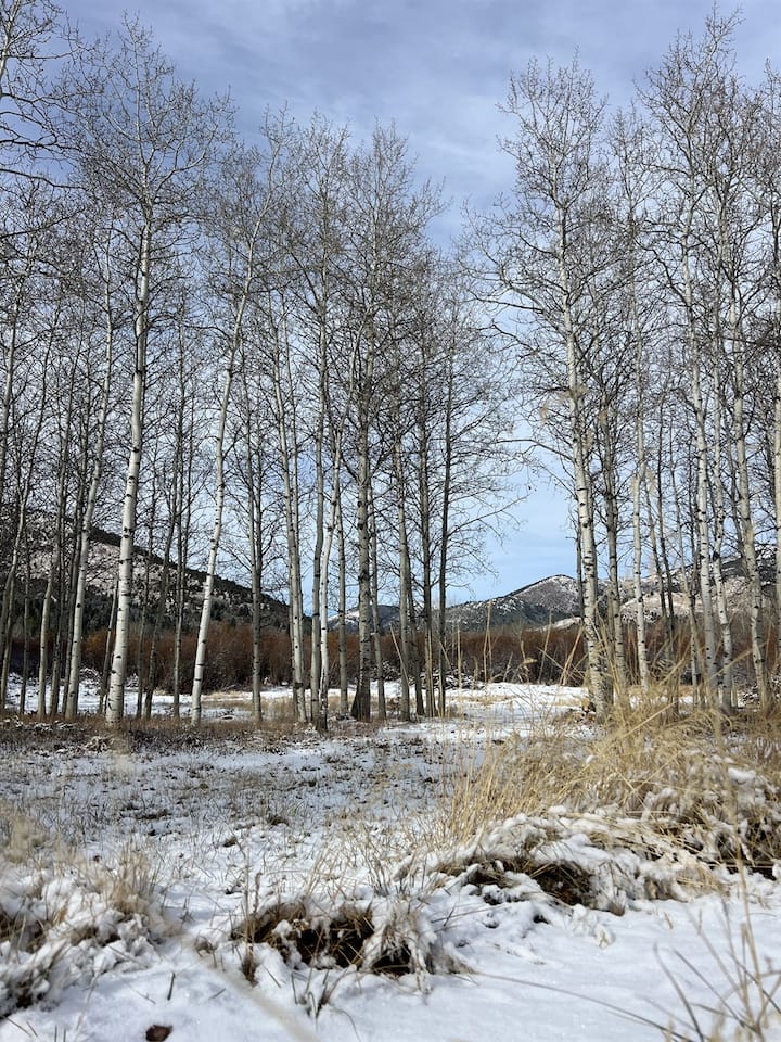 Snowy Mt Haggin Views; Ski Disco - Anaconda, MT
