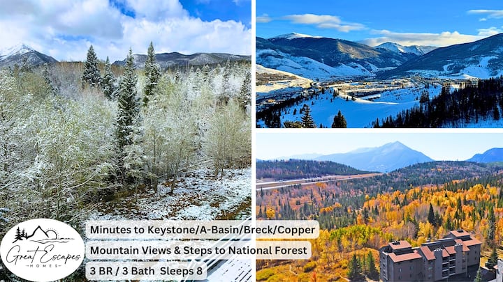 Mountain&forest Views! Easyaccess Hiking Ntlforest - Silverthorne, CO