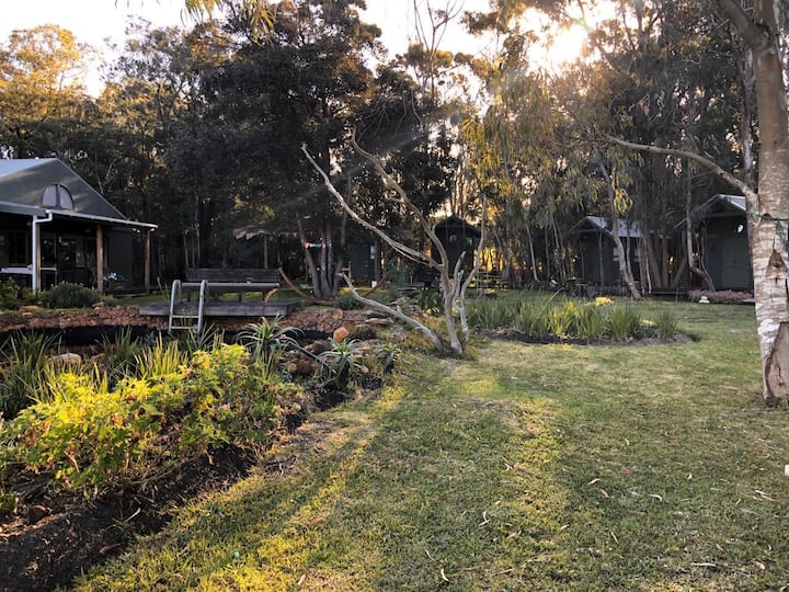 Owls Nest - Baardskeerdersbos