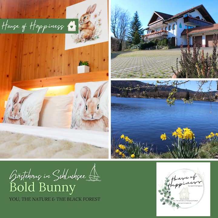 "Bold Bunny" Im House Of Happiness (2) - Schluchsee