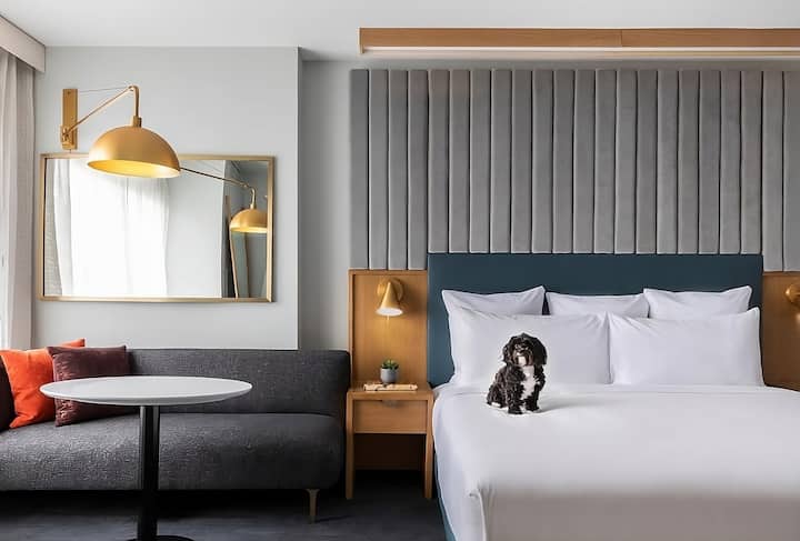 City Escape! Minibar, Pets Allowed, Parking! - Chicago, IL
