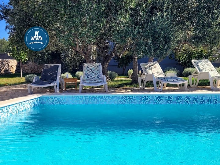 Appartement Olive Shared Pool (114921-a1) - Jezera