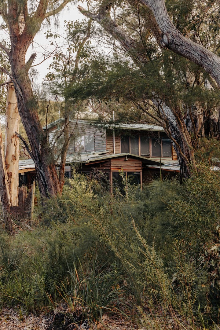 Bimbi Forest Eco Lodge - Denmark - Ocean Beach