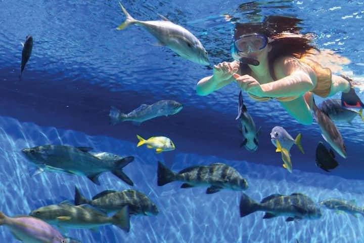 Oceanview Paradise – No Cleaning Fee! - St. Pete Beach, FL