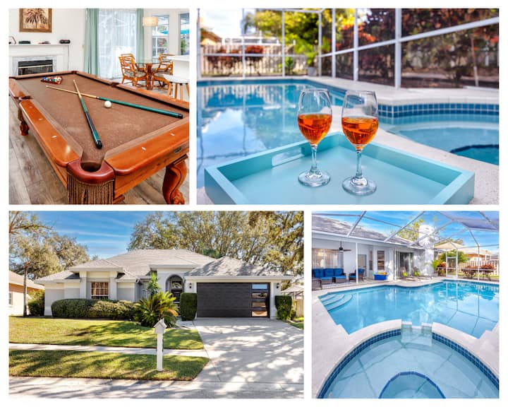 Palm Harbor Paradise | Pristine Pool And Hot Tub - Palm Harbor, FL