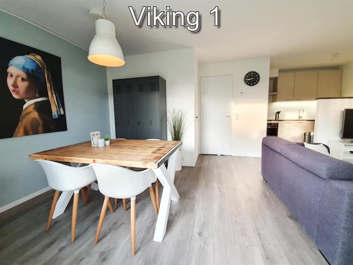 Luxe Vikingpark 1 - Zoutelande