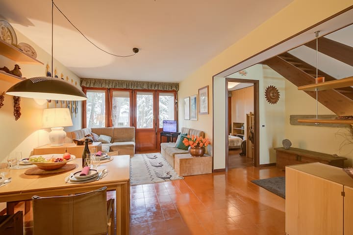 Lo Stambecco - Happy Rentals - 巴爾多內基亞