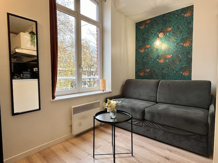 Petit Studio En Plein Cœur De Lille - Lille, Frankreich