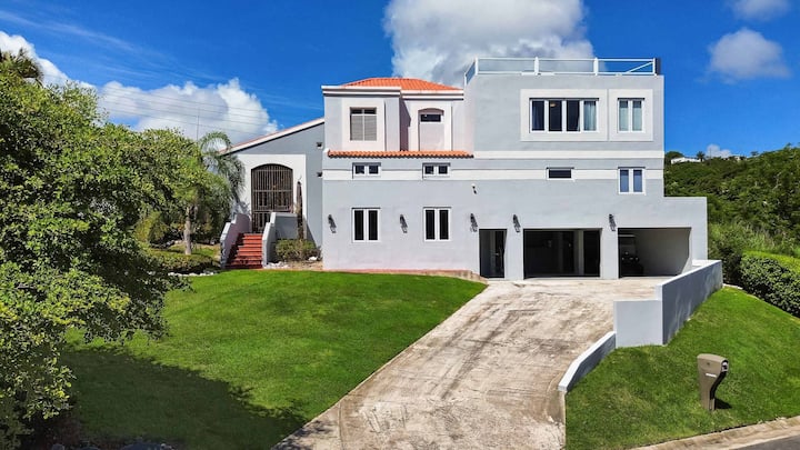 Spectacular Mansion W/ Game Room, Pool & Generator - Porto Rico