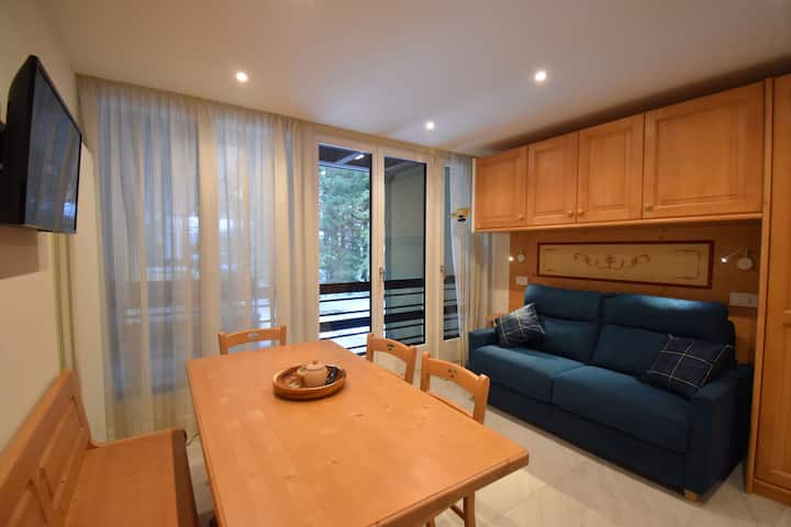 Silvana 104 Studio Apartment - Madonna di Campiglio