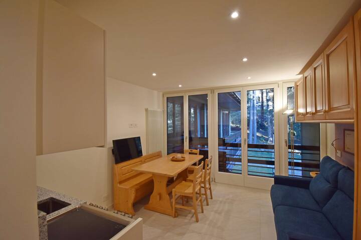 Silvana 104 Studio Apartment - Madonna di Campiglio