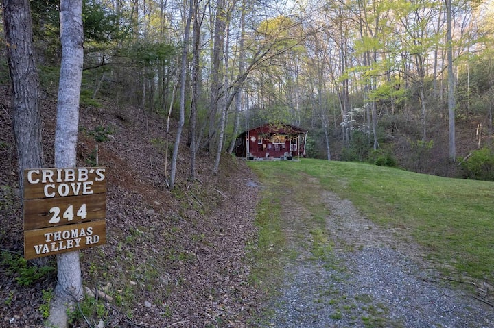 Cribb's Cove - Whittier, Nc With Outdoor Firepit - Sylva, NC