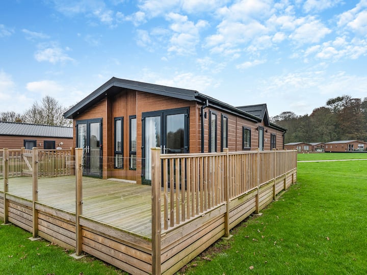 Woody Ray - Uk48110 - Bridlington