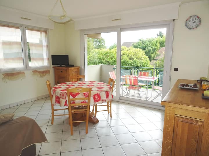 Très Cosy Et Chaleureux 2 Pièces - Aix-les-Bains
