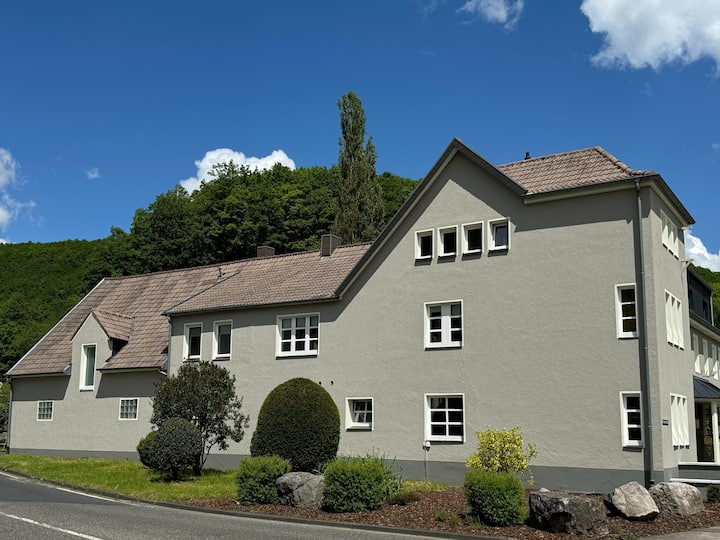 Maison De Vacances De Luxe Avec Bar à Schleiden - Schleiden