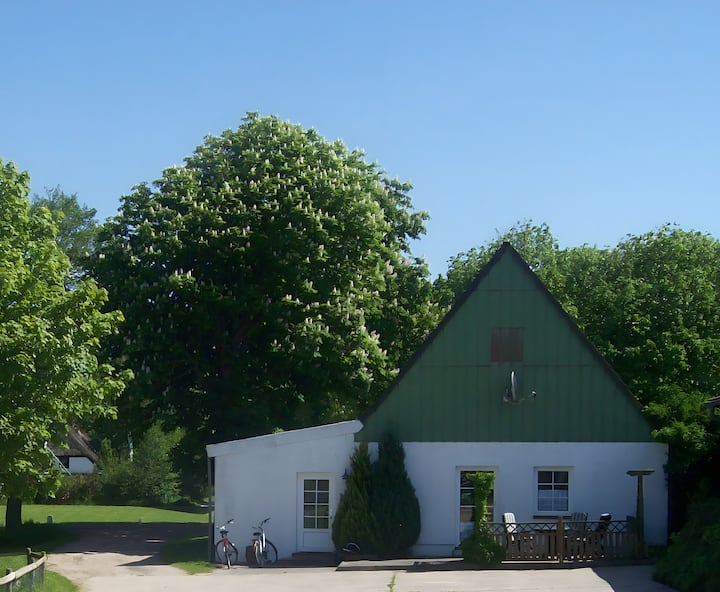2-raum-ferienwohnung - Wesselburen