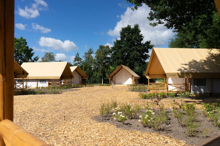 Kiezel Lodge 4 | Europarcs Zilverstrand - Dessel